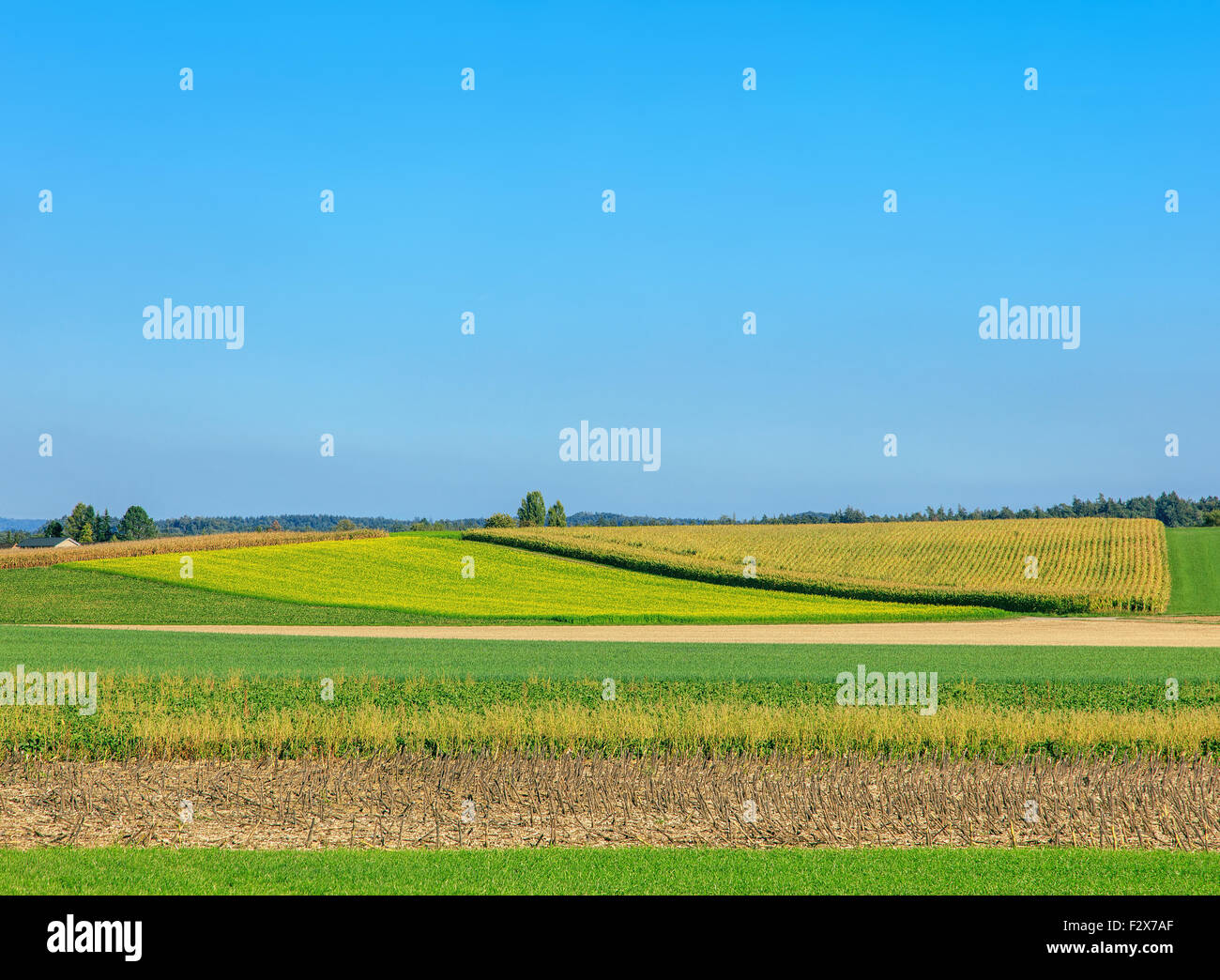 Countryside in Switzerland in late September Stock Photo - Alamy
