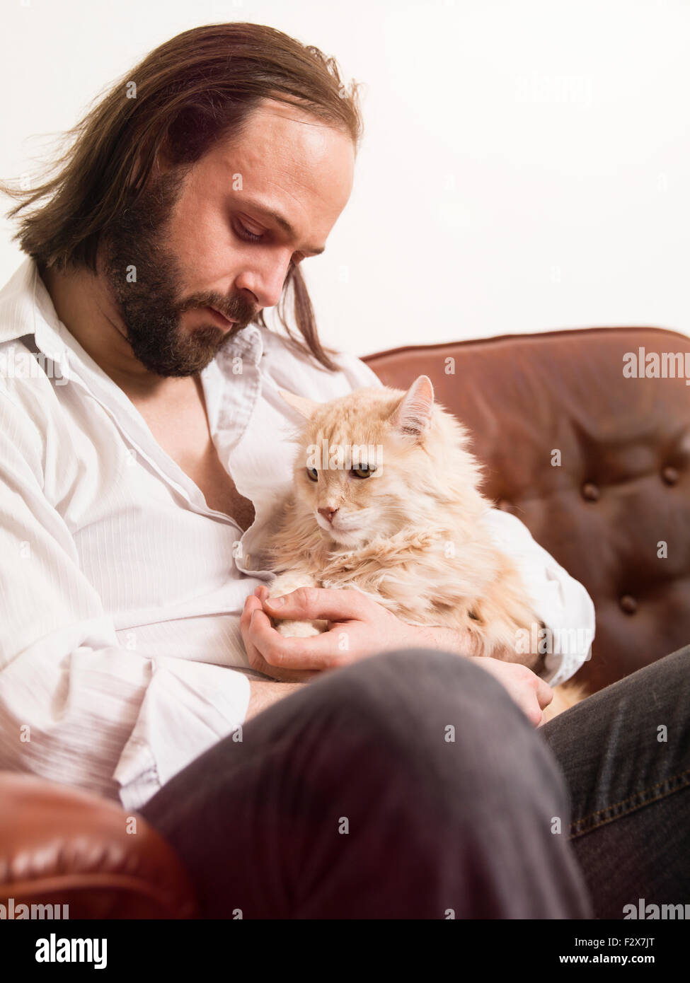 Maine Coon in the arms of snoozing man Stock Photo - Alamy