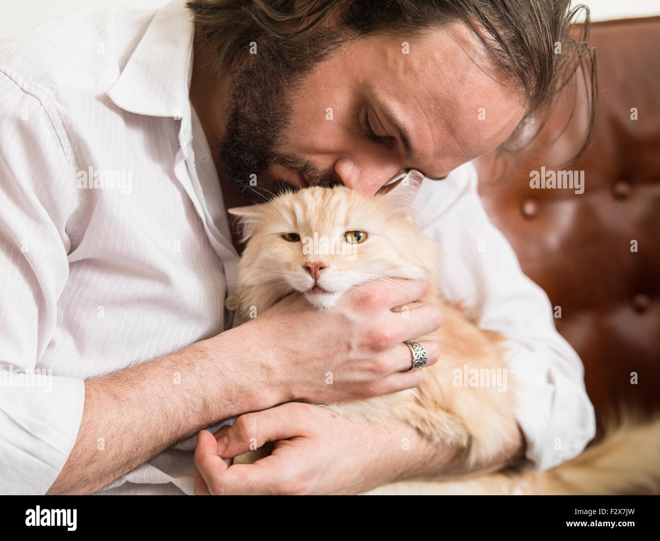 Man cuddling with his Maine Coon at home Stock Photo - Alamy