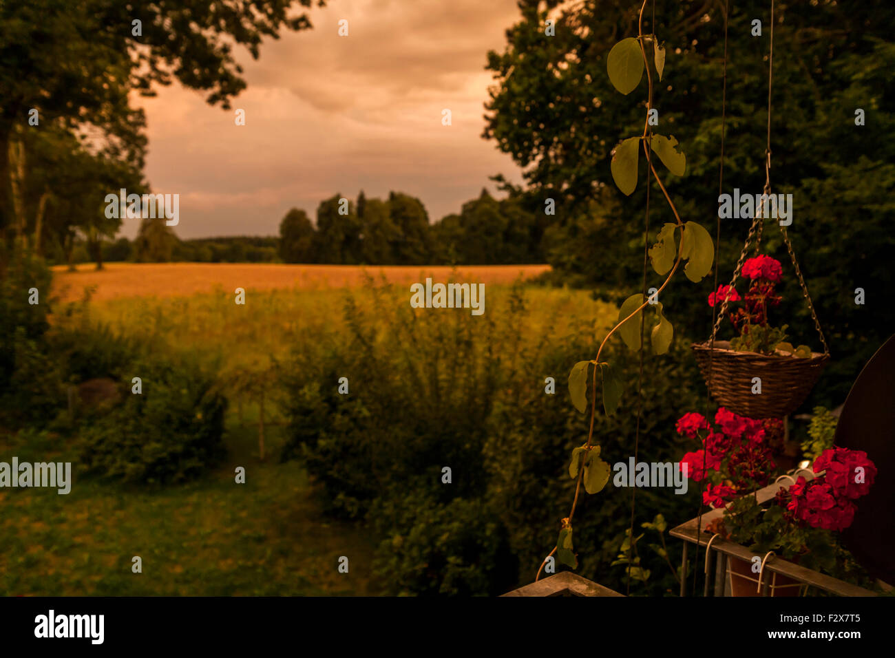View to fields and forest from balcony at twilight Stock Photo - Alamy