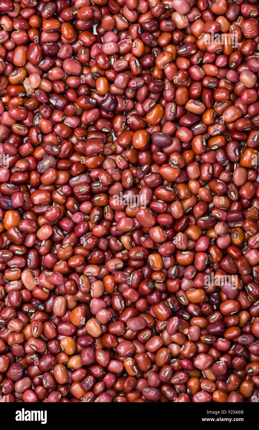 Red Beans close-up shot for use as background or as texture Stock Photo ...