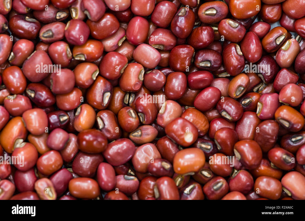 Red Beans close-up shot for use as background or as texture Stock Photo ...
