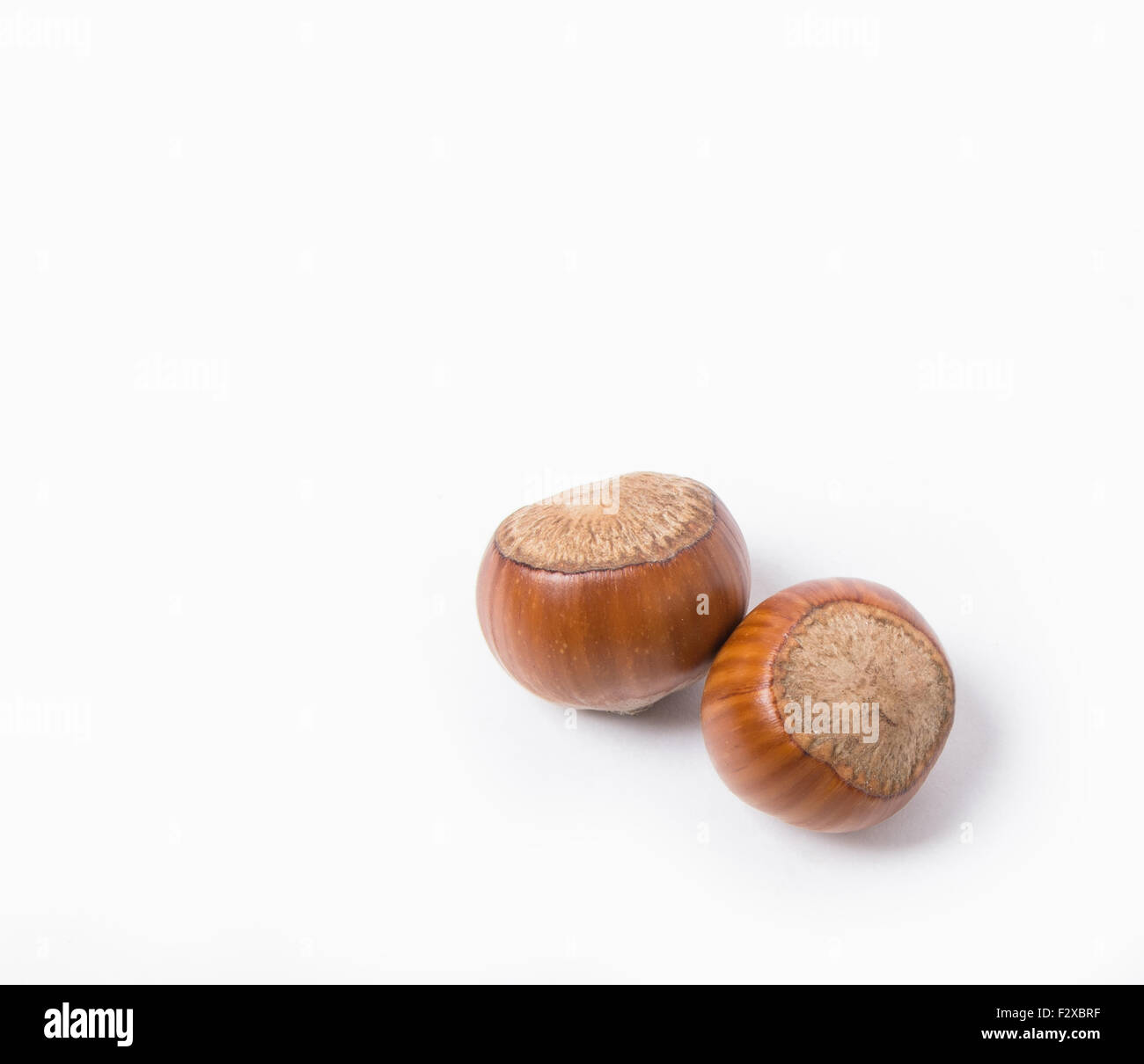 Brown nuts hi-res stock photography and images - Alamy