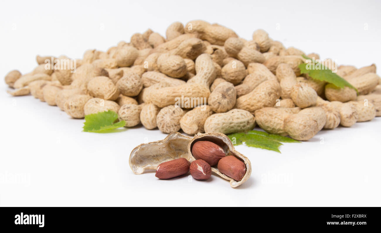two fresh peanuts Stock Photo - Alamy