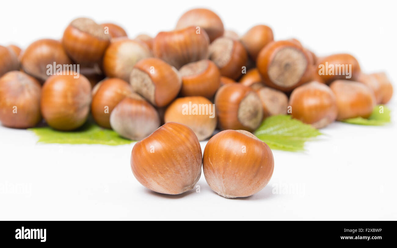 Two hazelnuts hi-res stock photography and images - Alamy