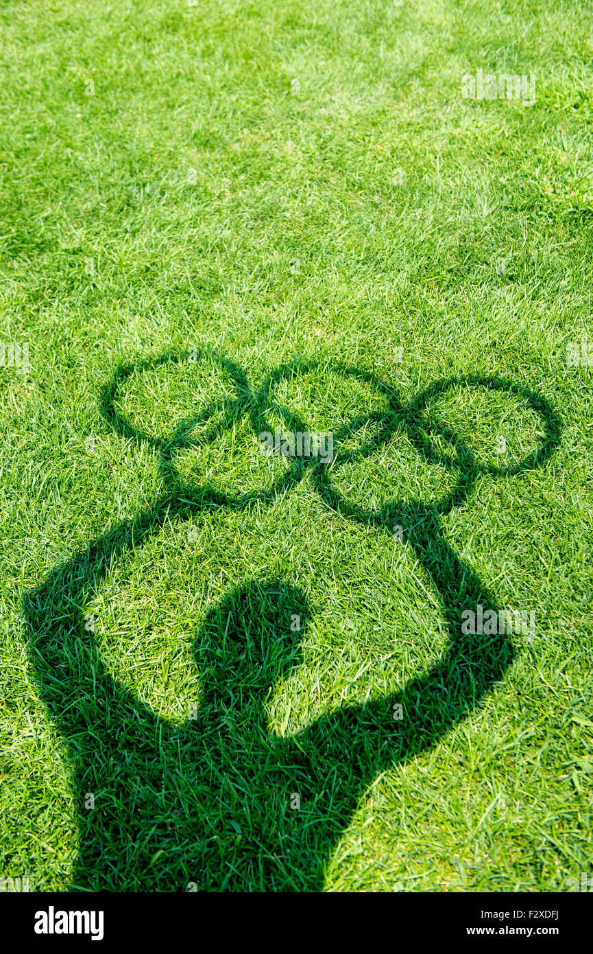 Green olympic rings hi-res stock photography and images - Alamy