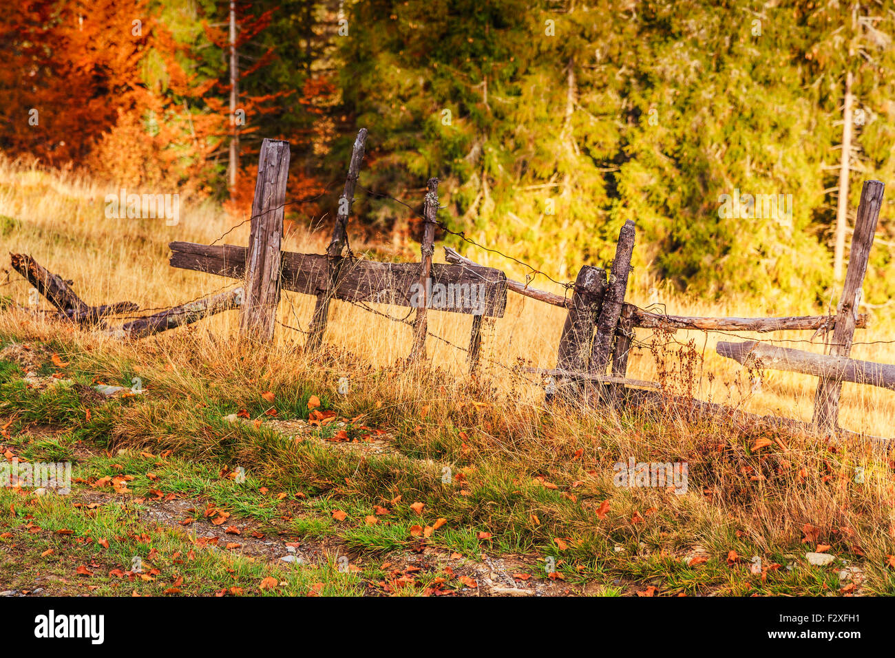 Colorful autumn landscape scene with fence in Transylvania mountain ...