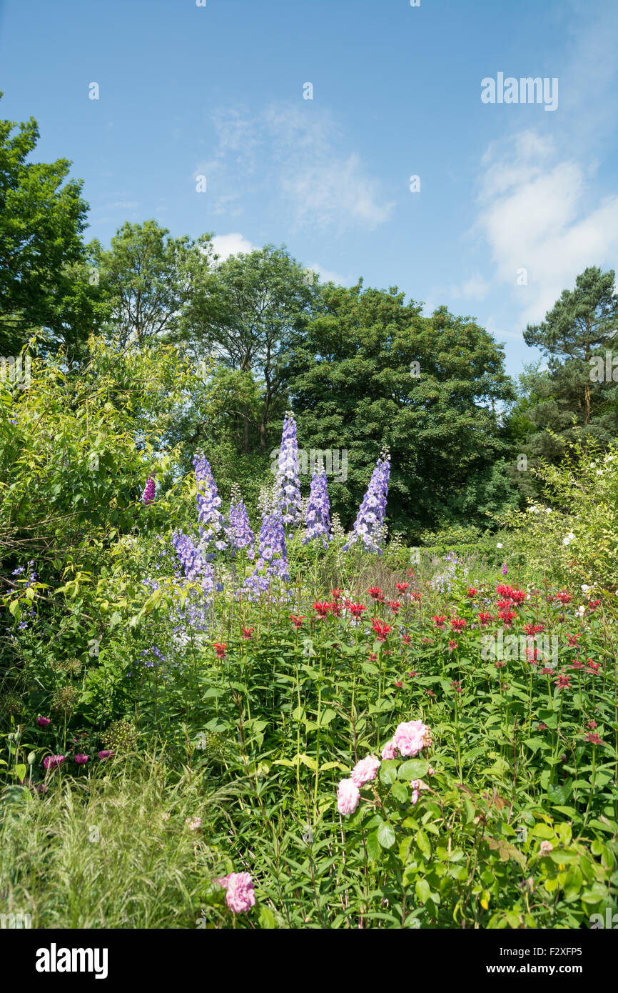 Garden border with delphiniums Stock Photo - Alamy