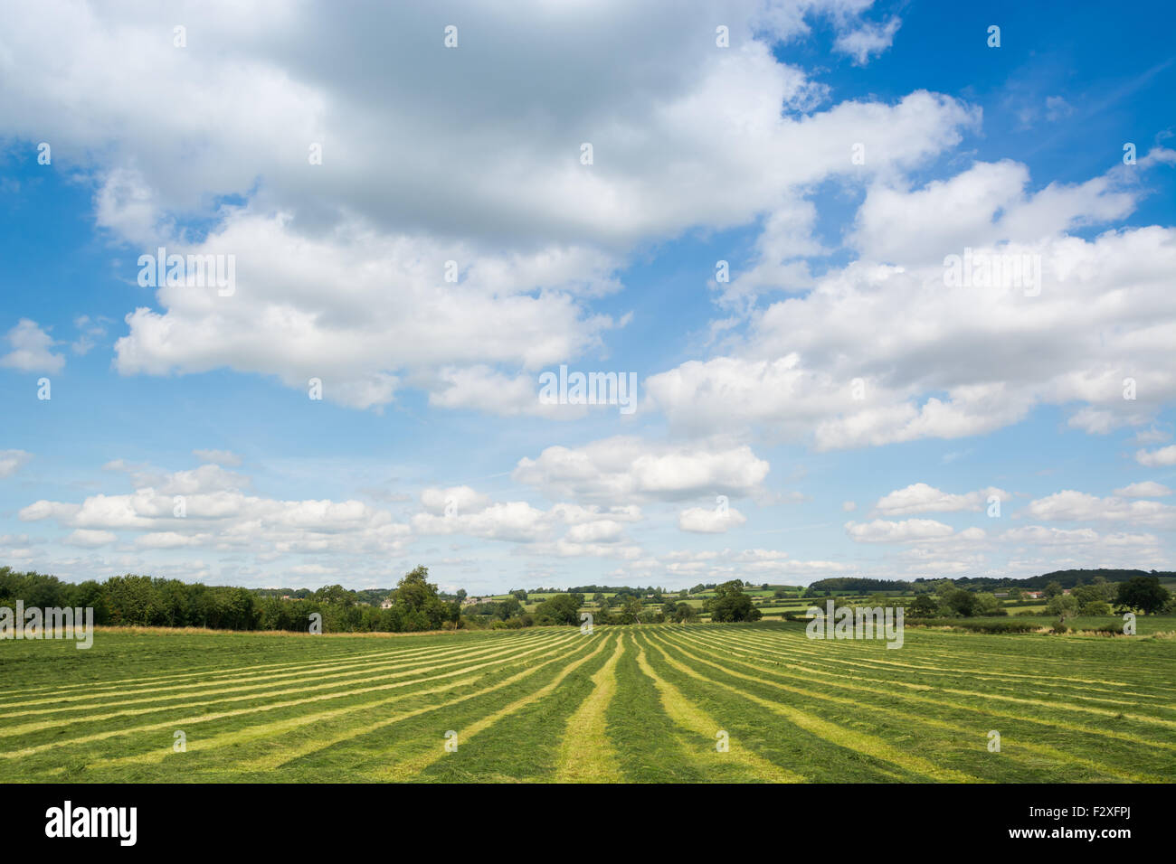 Hay time on farmland Stock Photo - Alamy