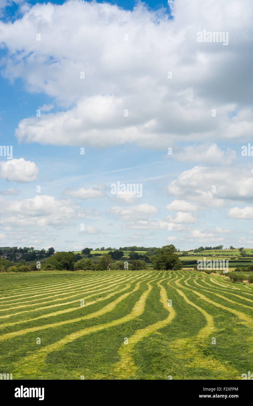 Hay time on farmland Stock Photo - Alamy