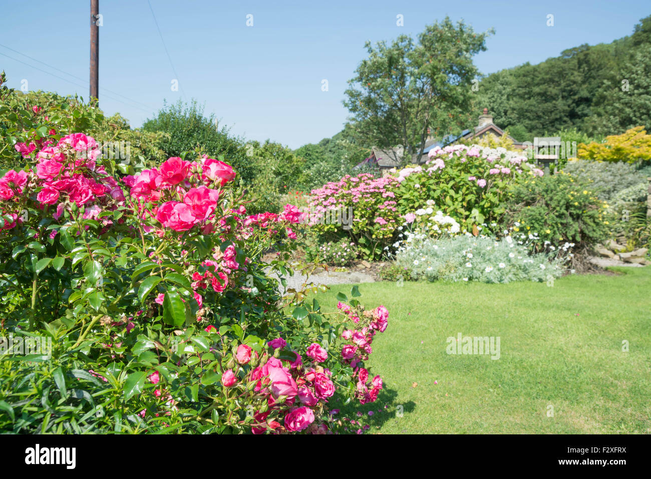 Rose and view of a garden Stock Photo - Alamy