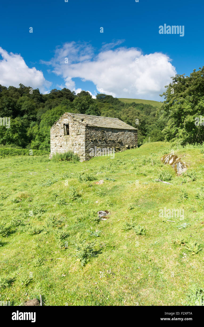Gunnerside gill hi-res stock photography and images - Alamy