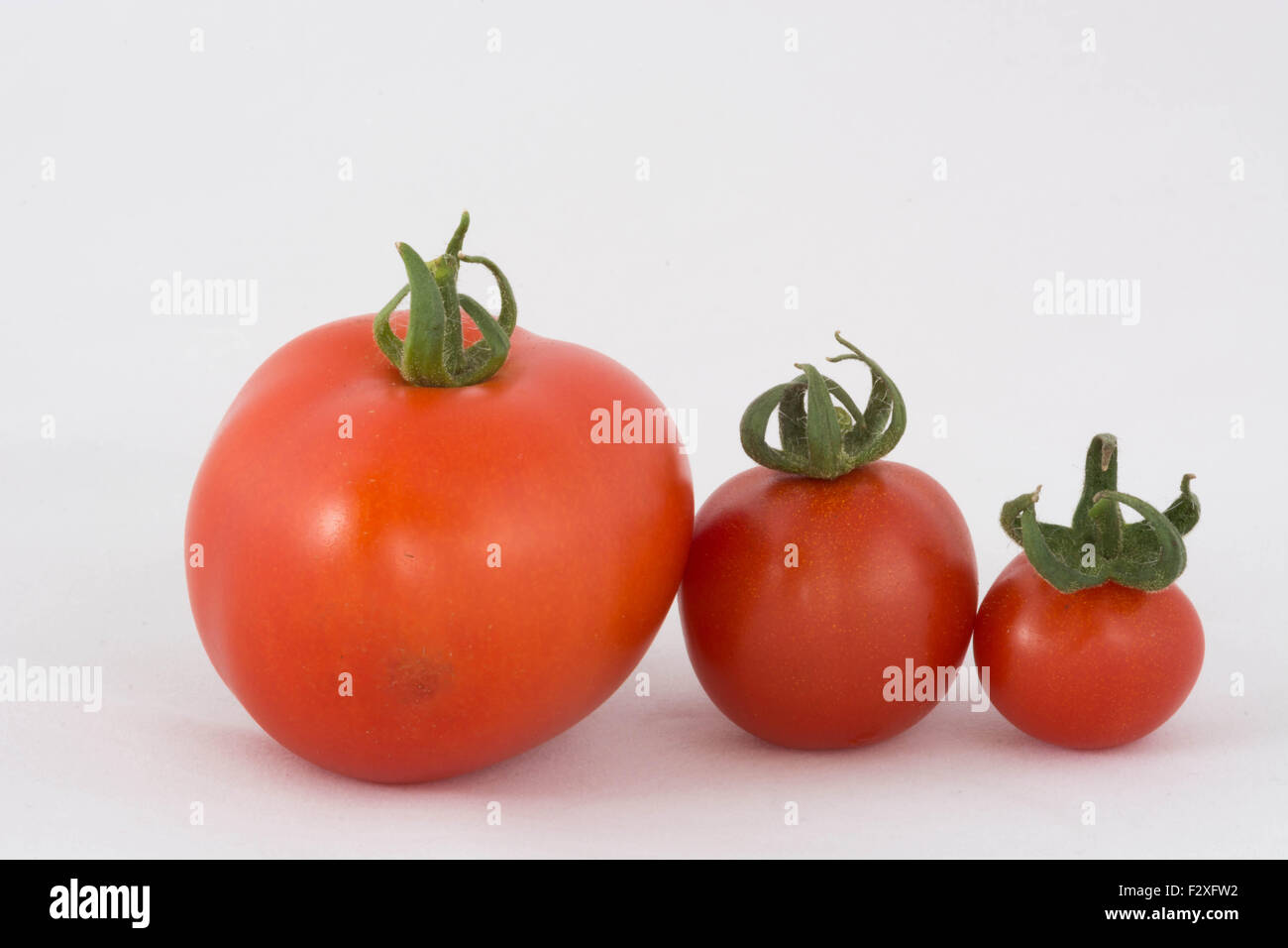Three tomatoes on a white background Stock Photo - Alamy