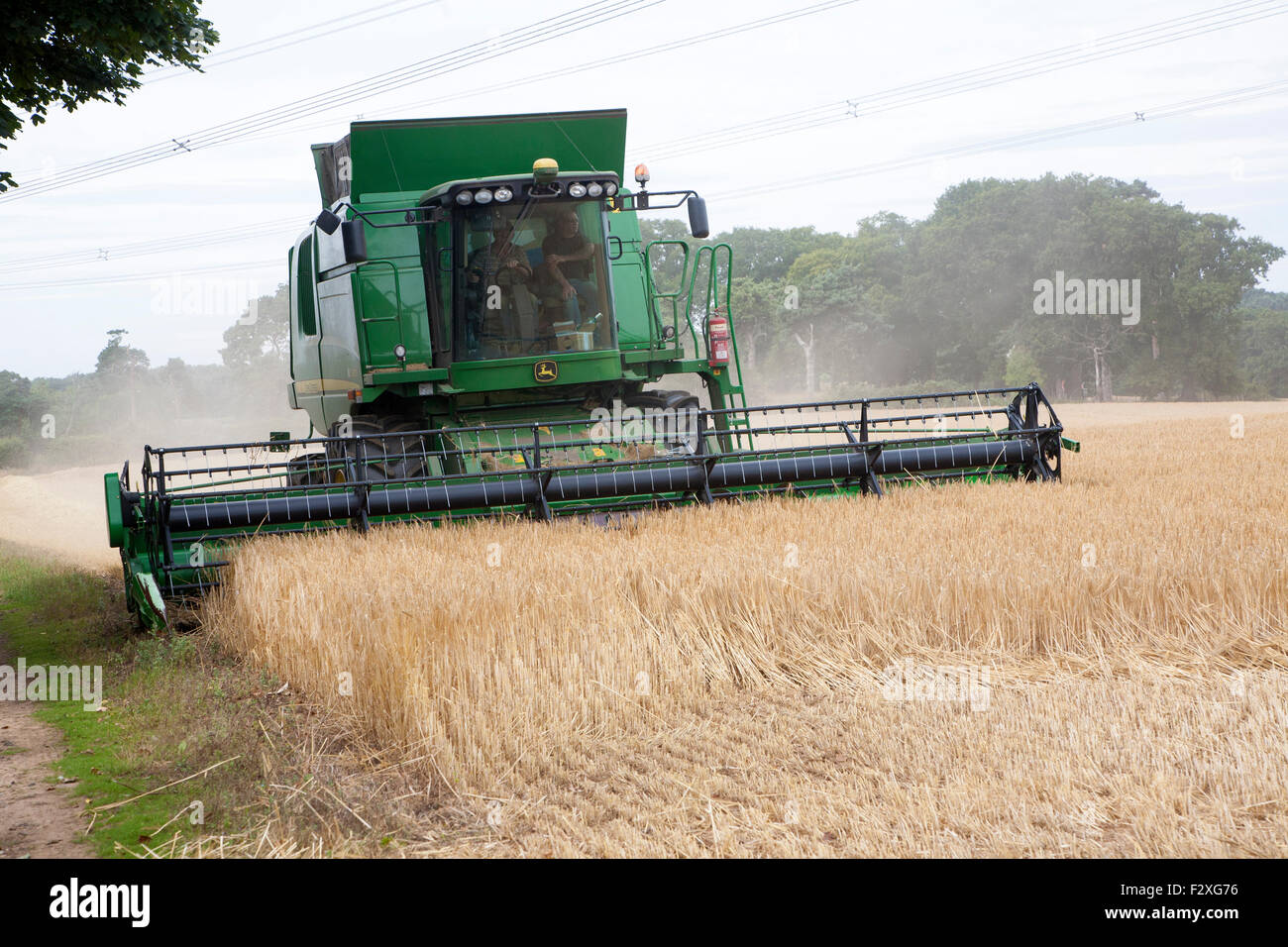 Combine harvester harvesting arable crop in field, Suffolk, England, UK ...