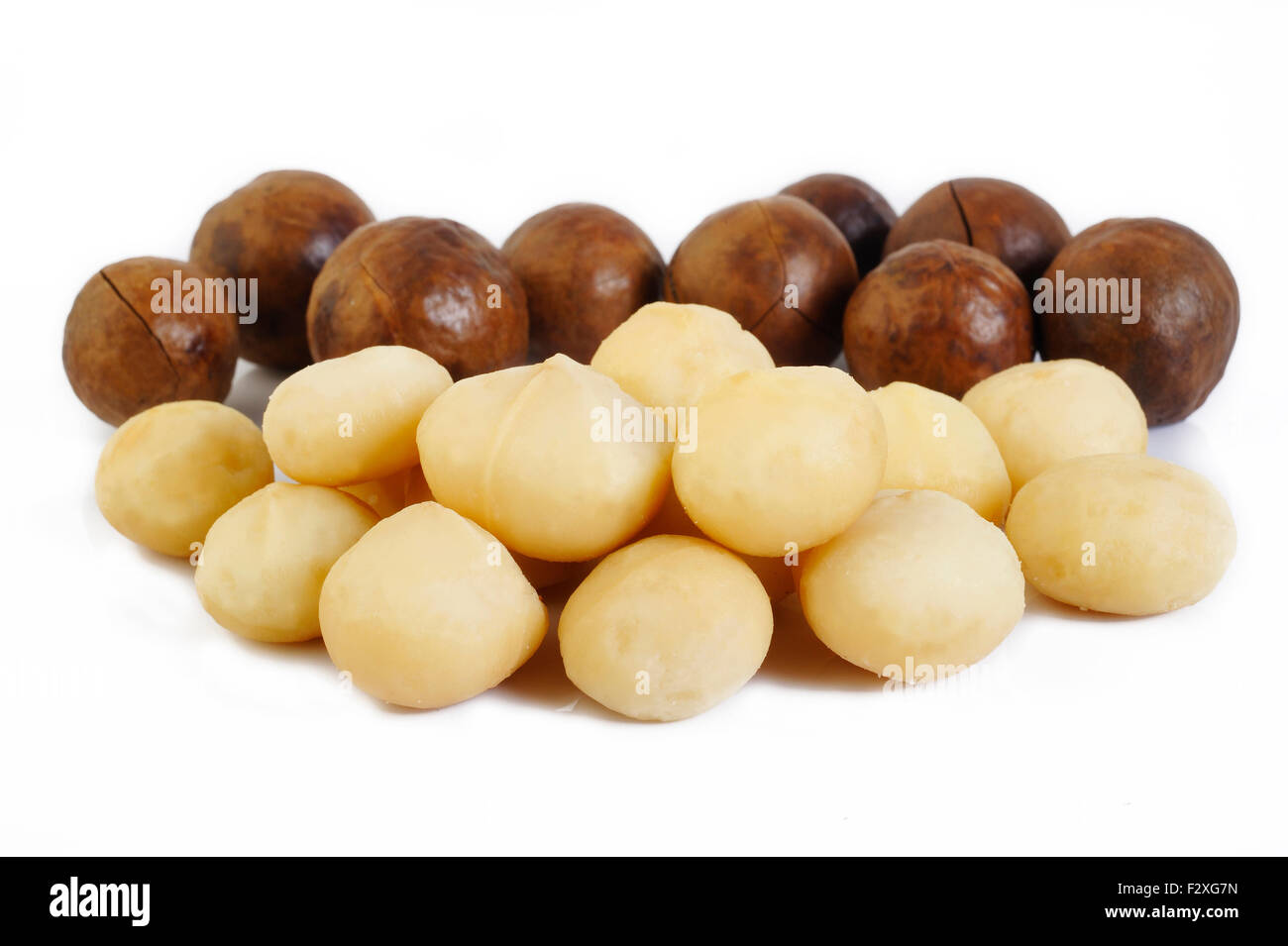 macadamia nuts isolated on white background Stock Photo - Alamy