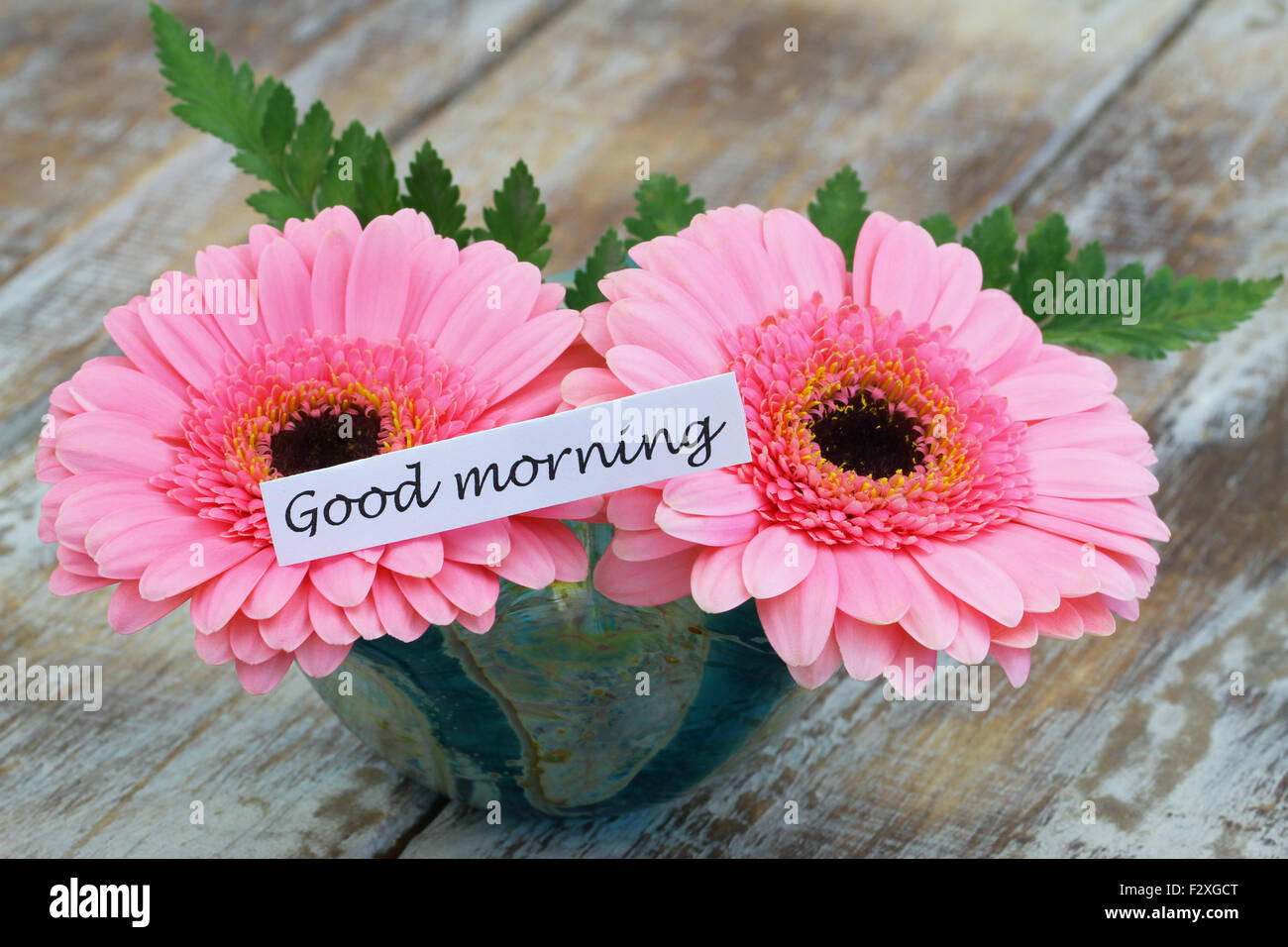 Good morning card with pink gerbera daisies Stock Photo - Alamy