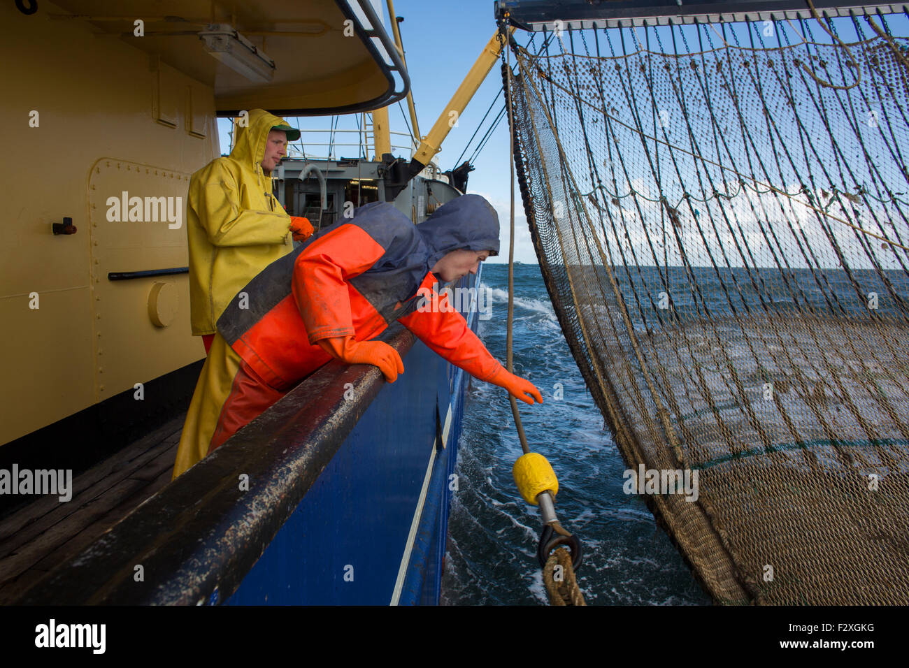 Dutch fishing vessel fishing on the North sea for sole and flounder ...