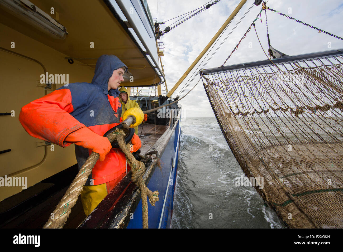 Dutch fishing vessel fishing on the North sea for sole and flounder ...