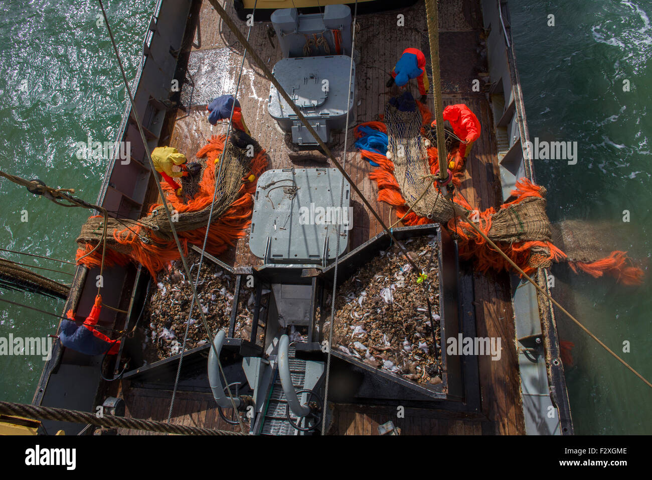 Dutch fishing vessel fishing on the North sea for sole and flounder ...