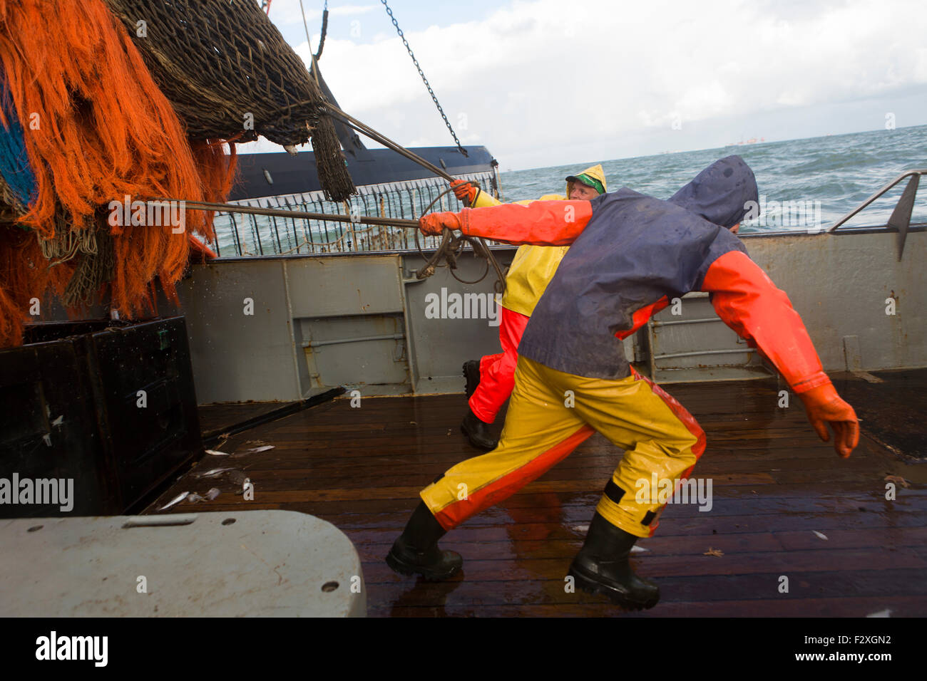 Dutch fishing vessel fishing on the North sea for sole and flounder ...