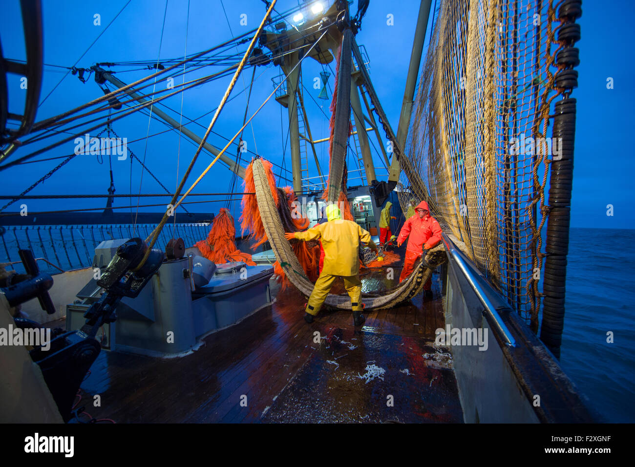 Dutch fishing vessel fishing on the North sea for sole and flounder ...