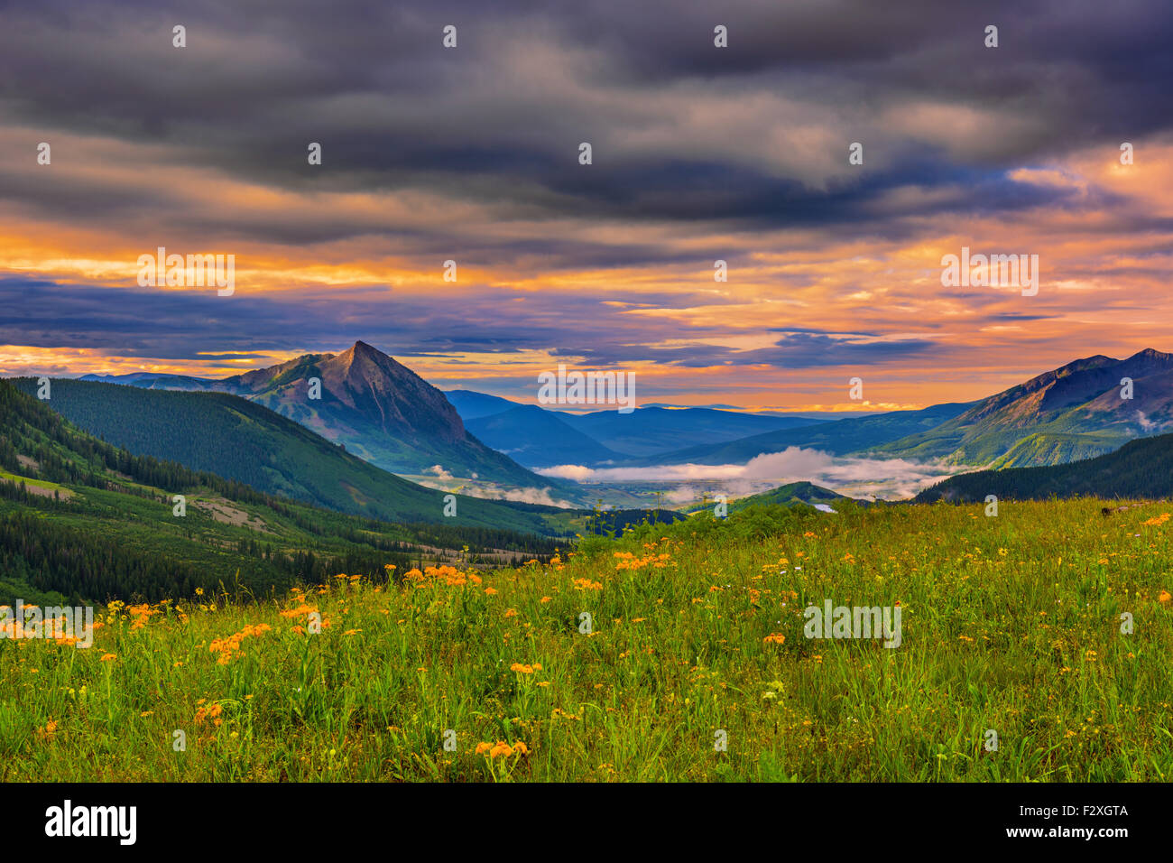 Mountain meadow sunrise hi-res stock photography and images - Alamy