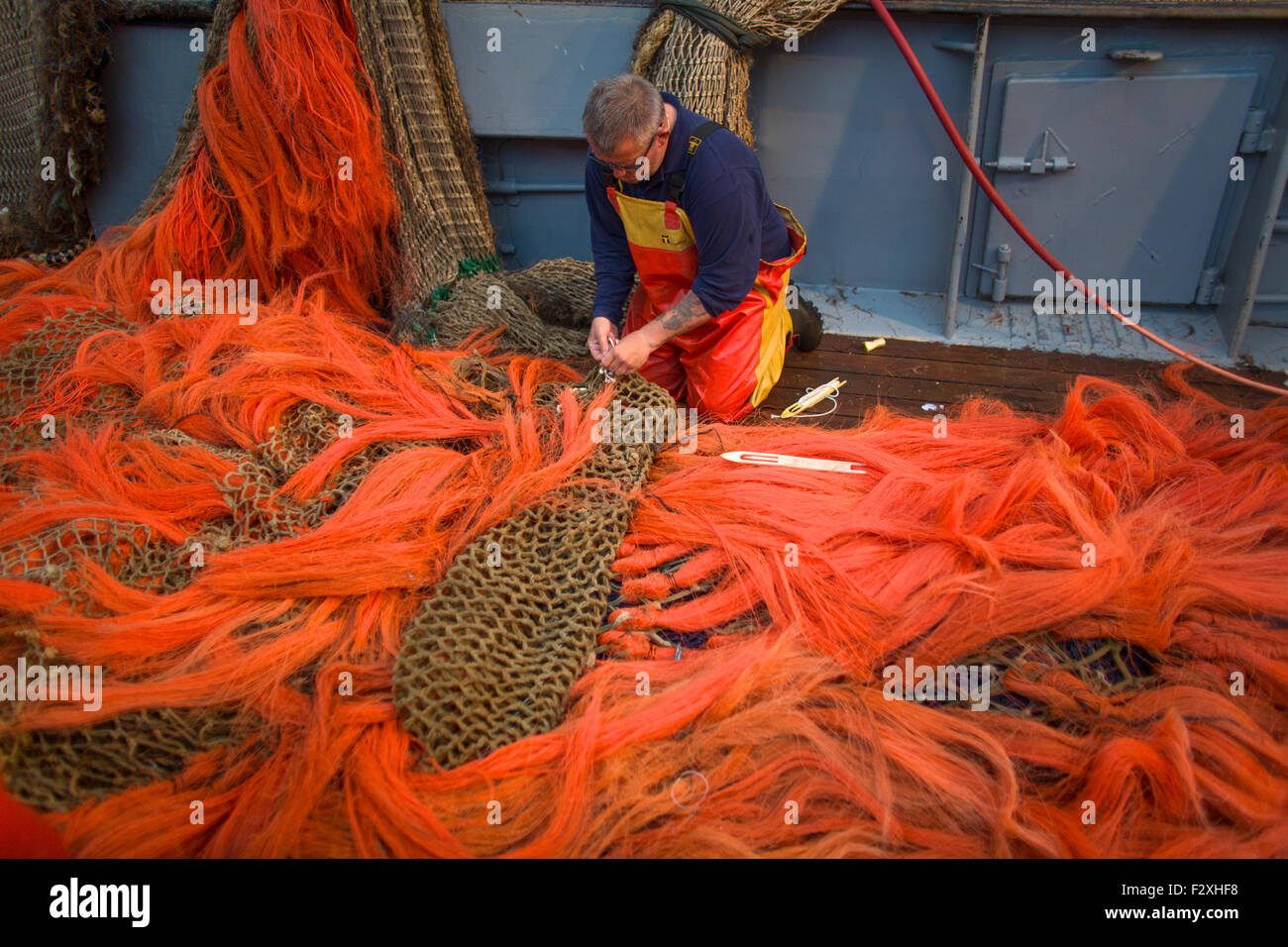 Dutch fishing vessel fishing on the North sea for sole and flounder ...