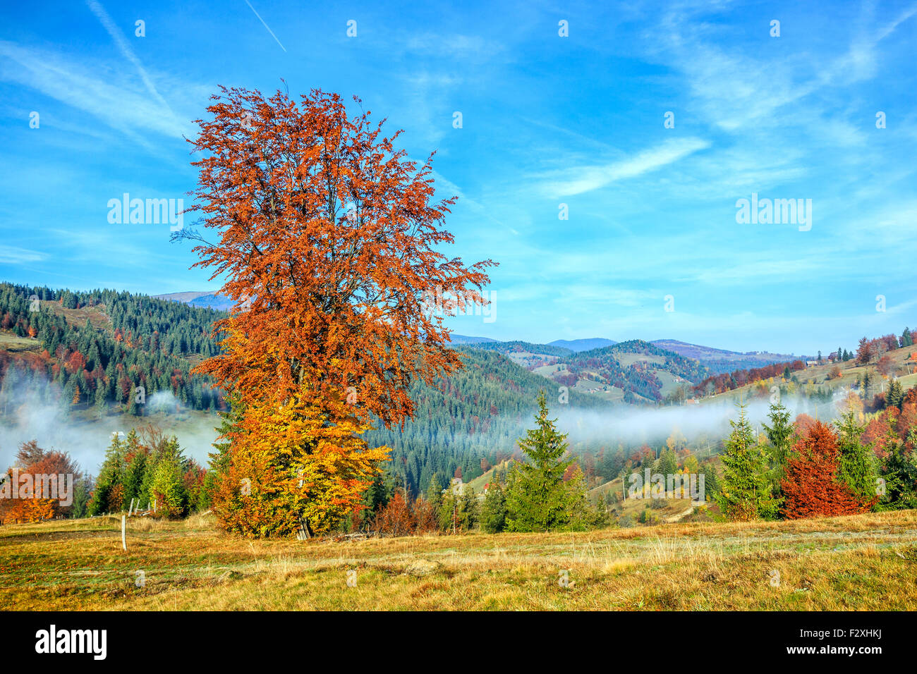 Colorful autumn landscape in the Carpathian mountains. Transylvania ...