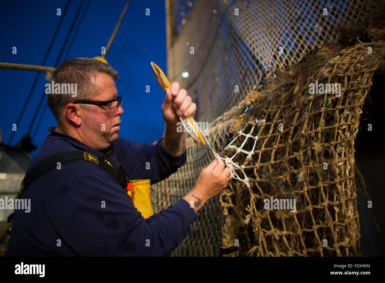 Dutch fishing vessel fishing on the North sea for sole and flounder ...