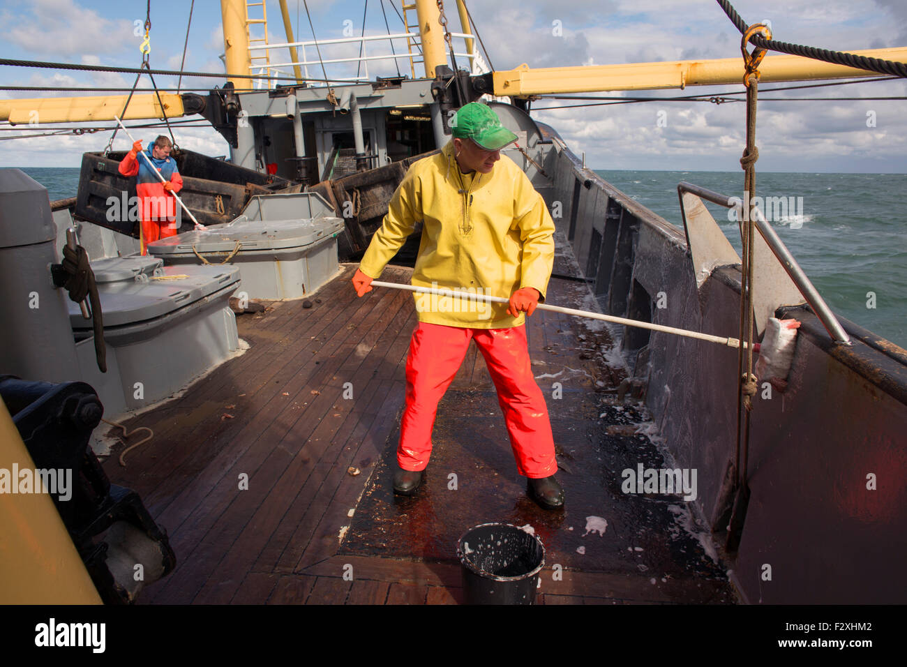 Dutch fishing vessel fishing on the North sea for sole and flounder ...