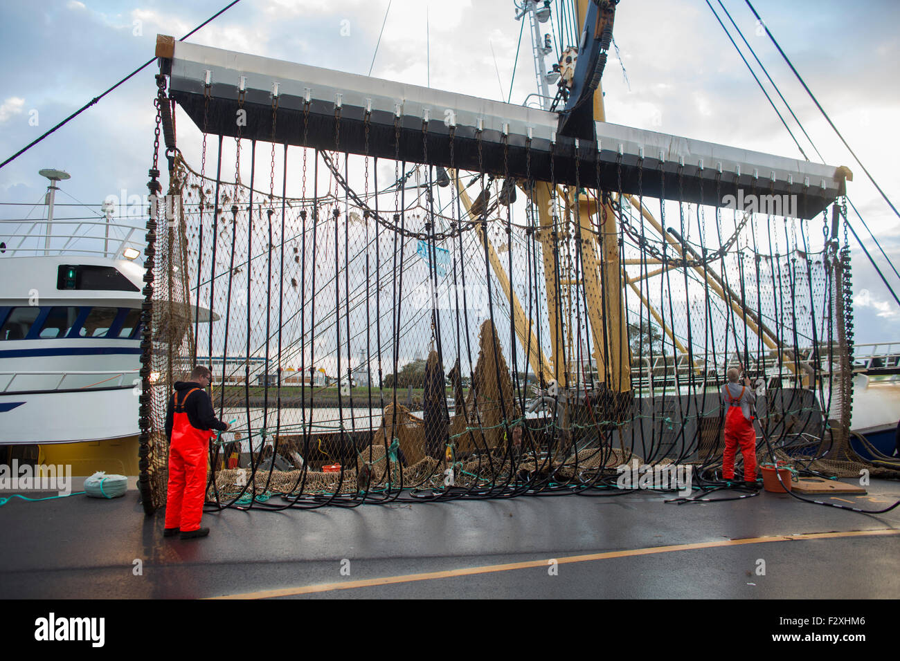 Dutch fishing vessel fishing on the North sea for sole and flounder ...