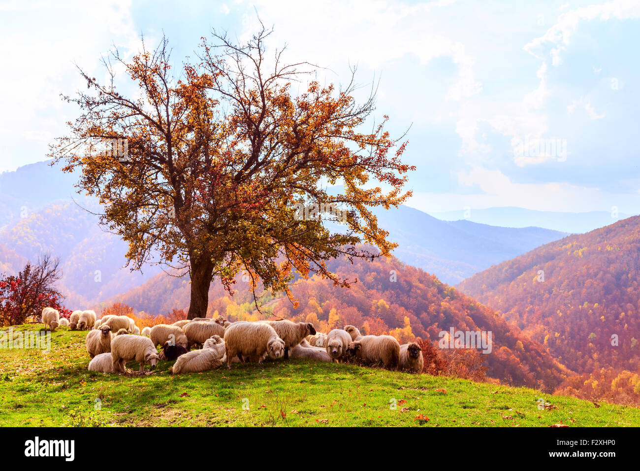 Bible scene hi-res stock photography and images - Alamy