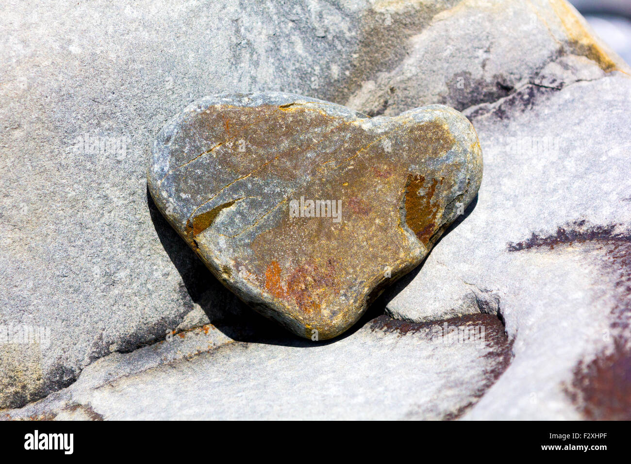 'Love Rocks' - Heart Shaped Pebble Found on a North Devon Beach ...