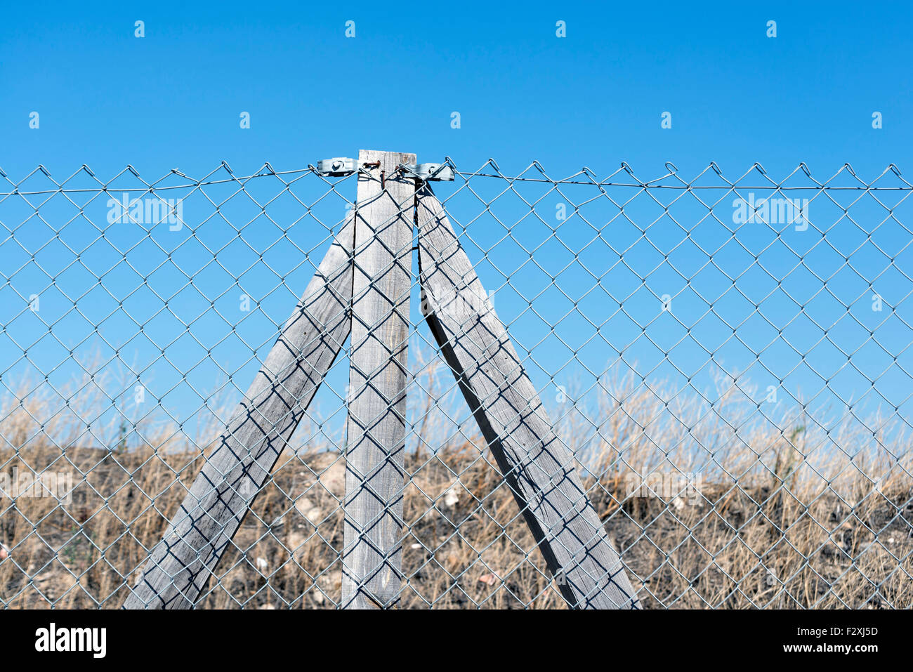 Wooden posts with fence wire Stock Photo - Alamy