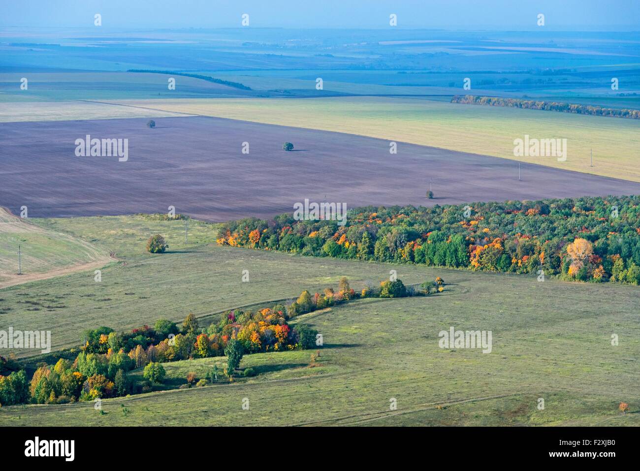 Russia, Republic of Tatarstan. Fields Stock Photo - Alamy