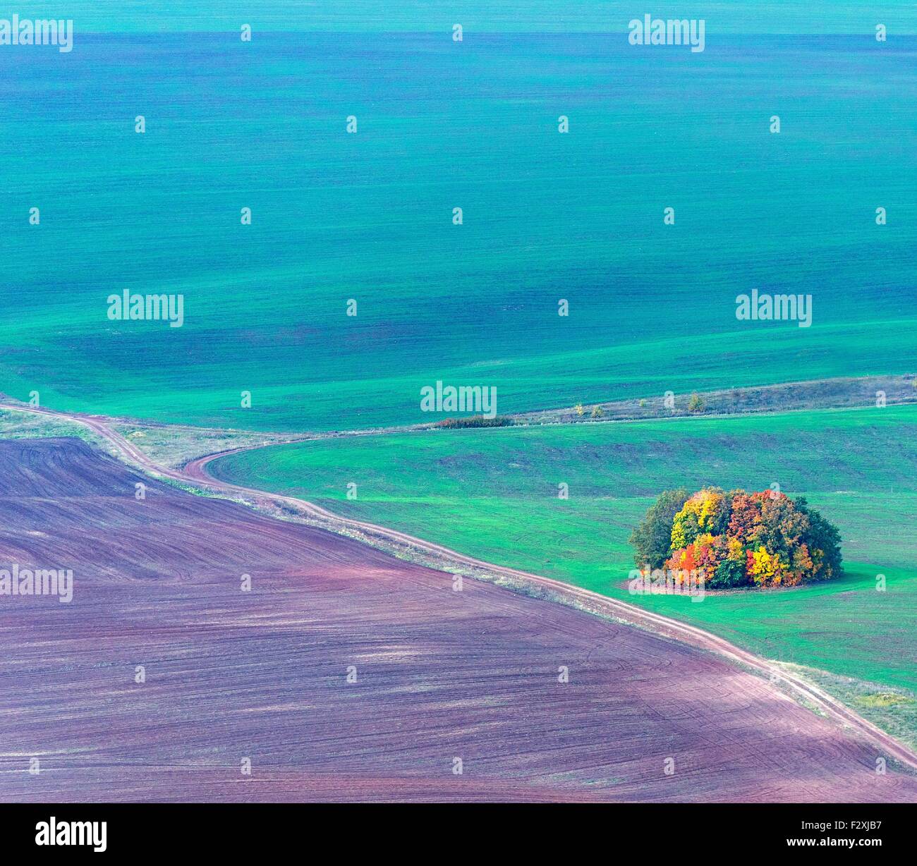 Russia, Republic of Tatarstan. Fields Stock Photo - Alamy