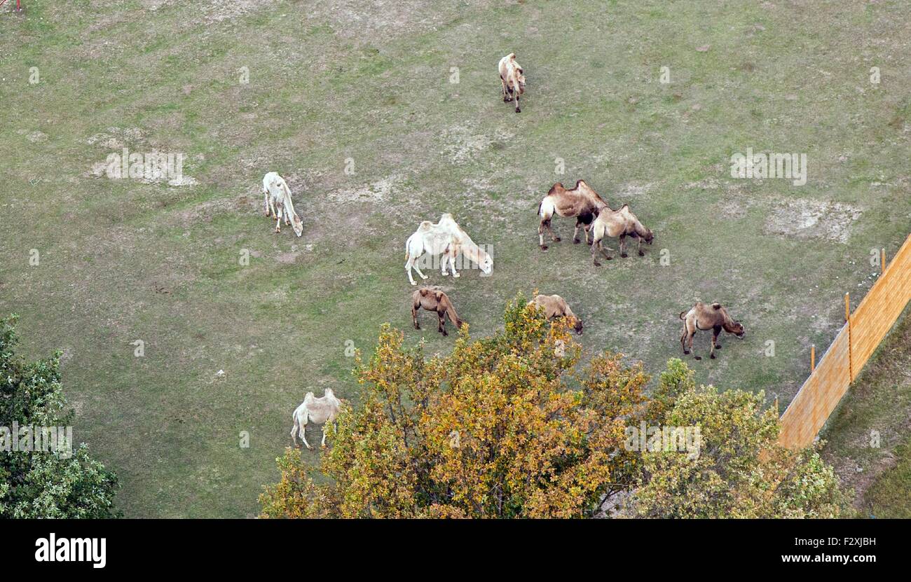 Russia, Republic of Tatarstan. Bolgar Historical and Archaeological ...