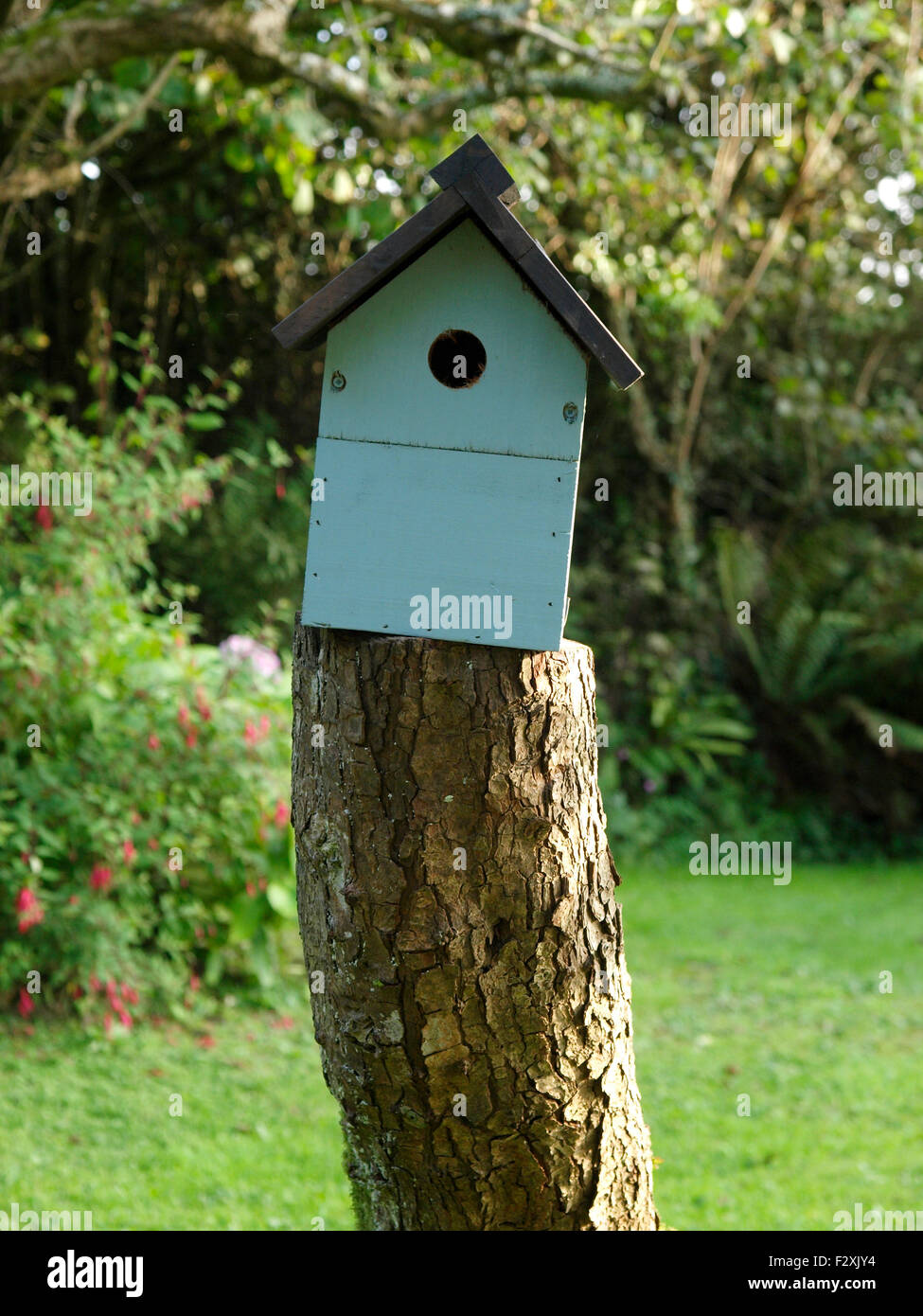 Unusual Bird Boxes Uk Outlet Coupons | www.oceanproperty.co.th