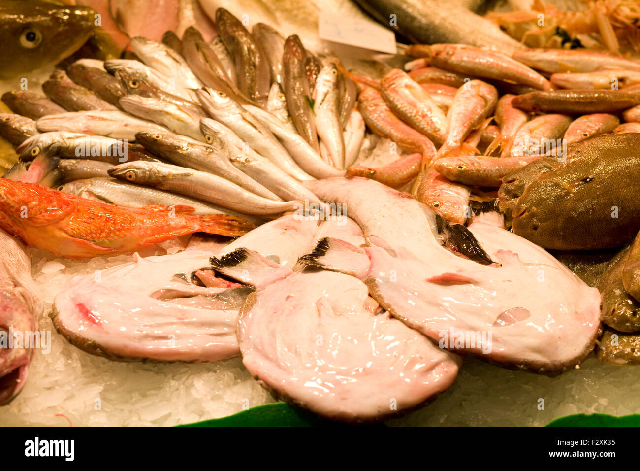 Fresh Raw Fish on ice at a market in Barcelona Spain Stock Photo - Alamy