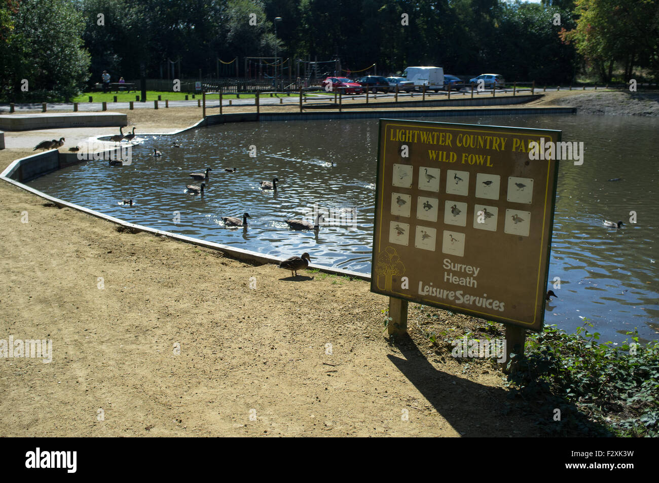 Duck pond at Lightwater Country Park, Surrey Stock Photo - Alamy