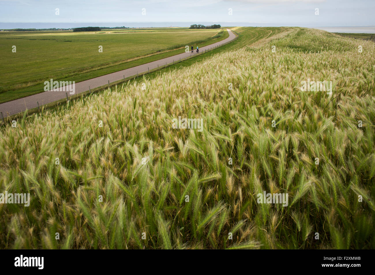 Dutch road management hi-res stock photography and images - Alamy