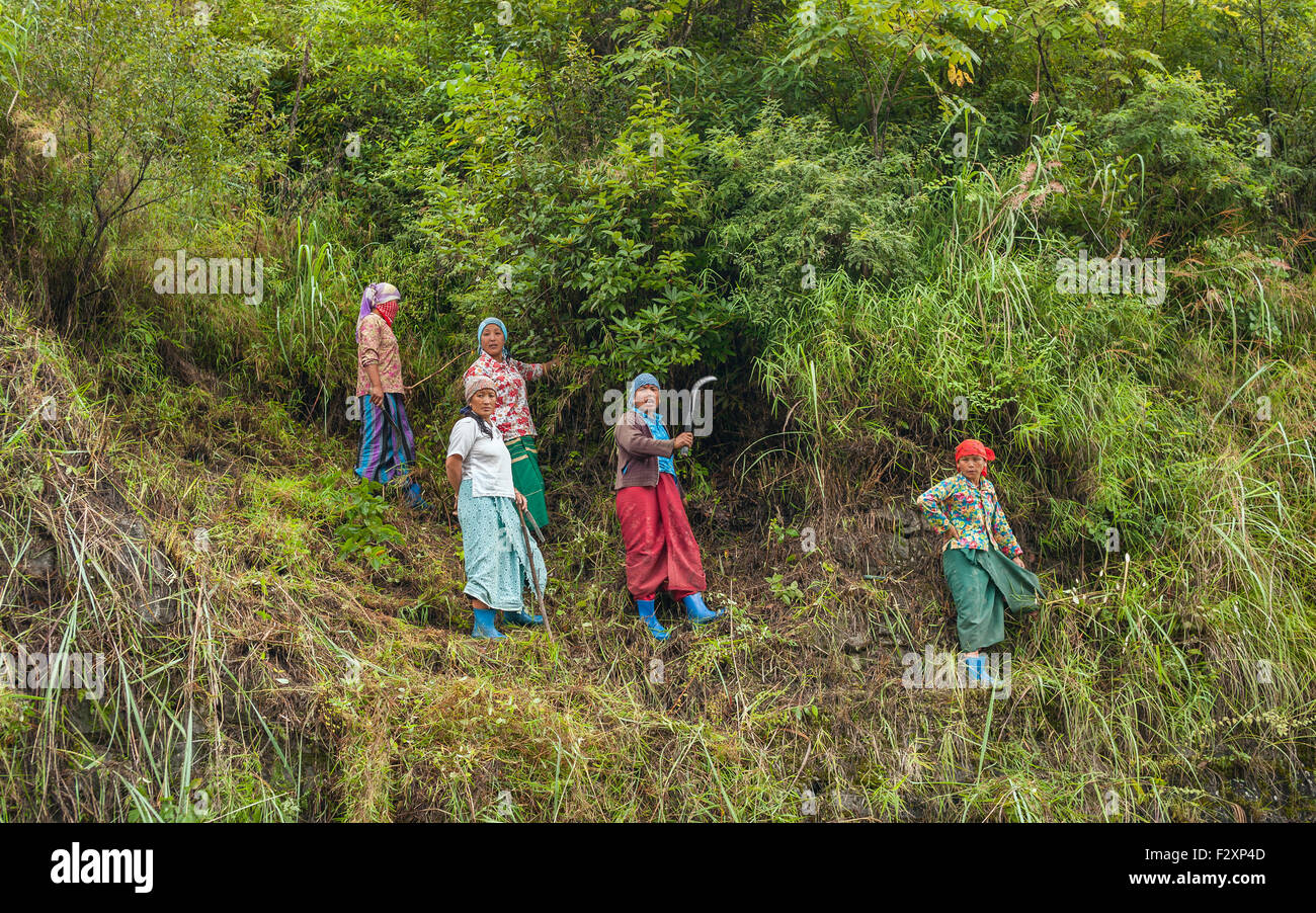 Itinerant road construction workers clear vegetation from side of H229 ...