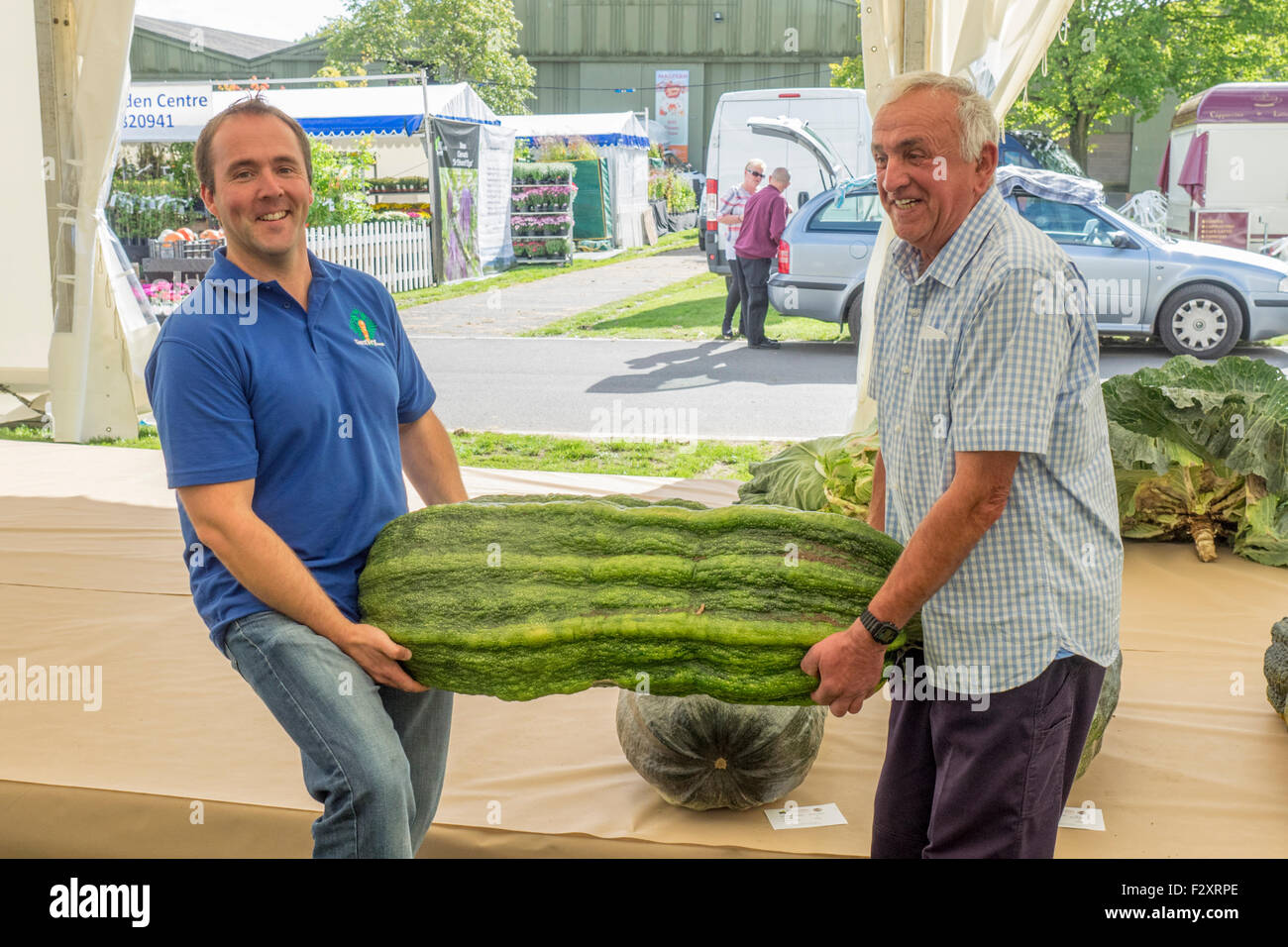 Giant marrow hi-res stock photography and images - Alamy