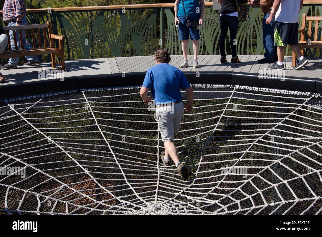Wild Walk at the Wild Center in Tupper Lake New York USA America ...