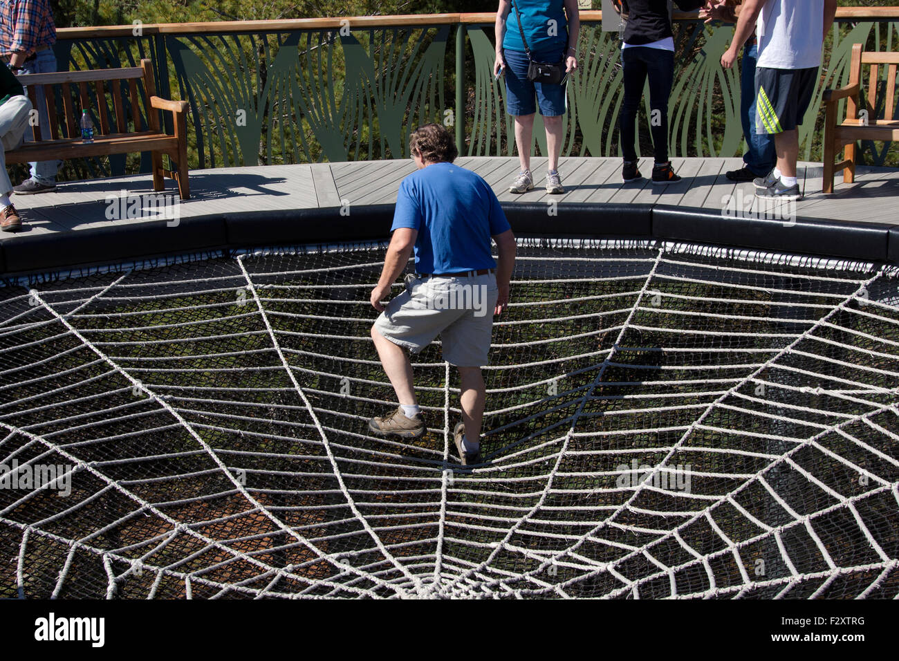 Wild Walk at the Wild Center in Tupper Lake New York USA America ...