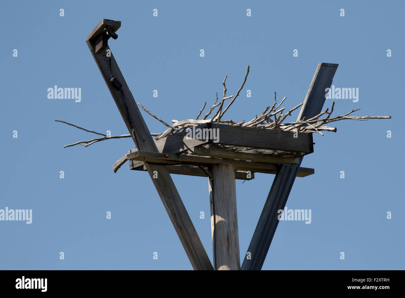 Wild Walk at the Wild Center in Tupper Lake New York USA America ...