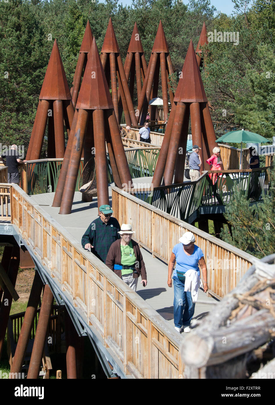Wild center wild walk tupper lake hi-res stock photography and images ...