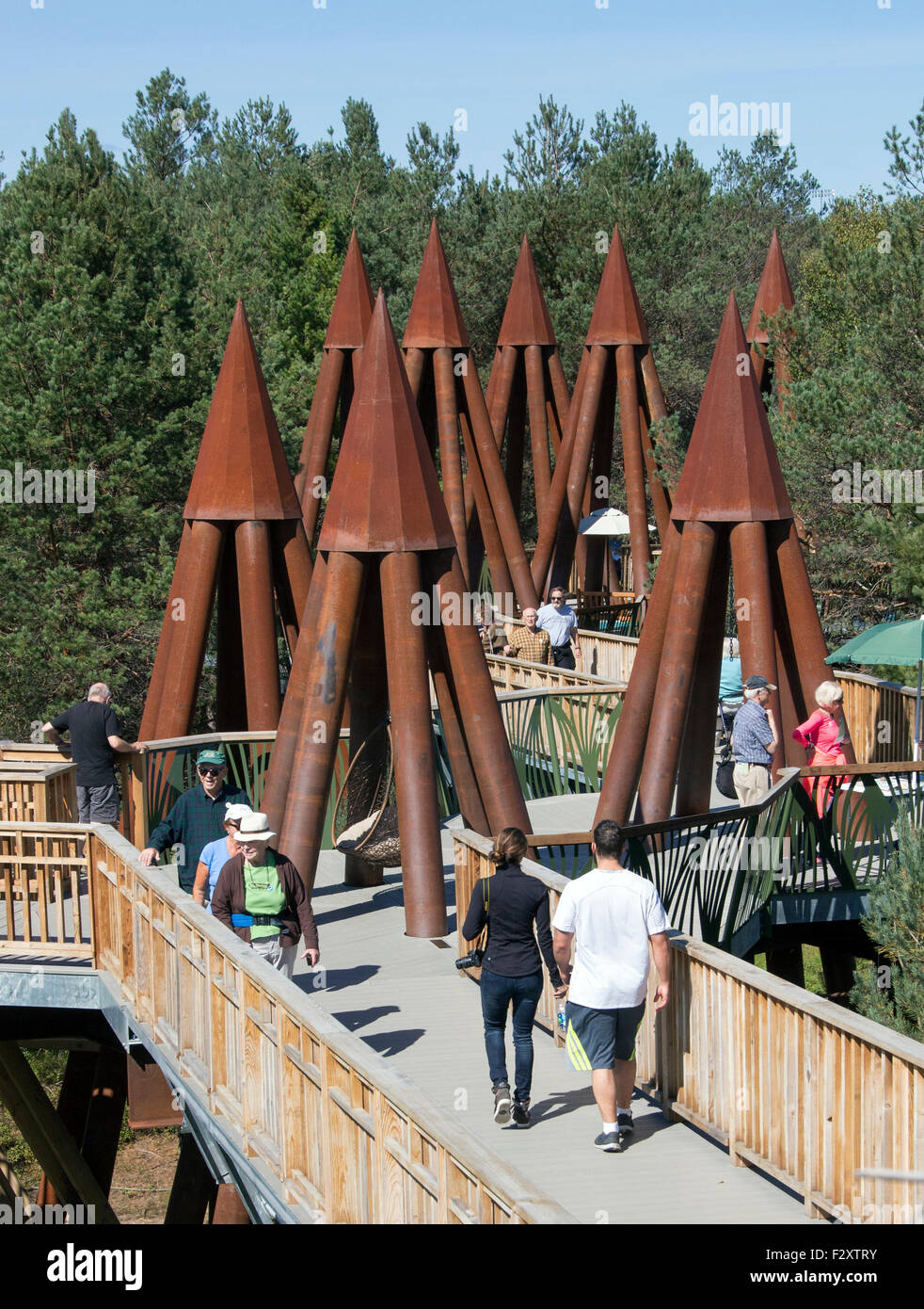 Wild center tupper forest hi-res stock photography and images - Alamy