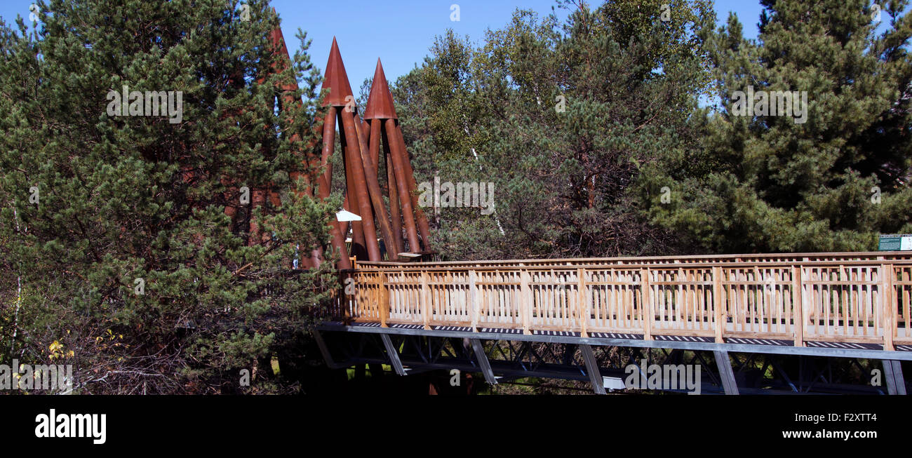 Wild center tupper forest hi-res stock photography and images - Alamy