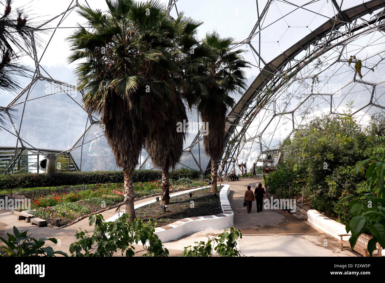 Eden project cornwall interior hi-res stock photography and images - Alamy